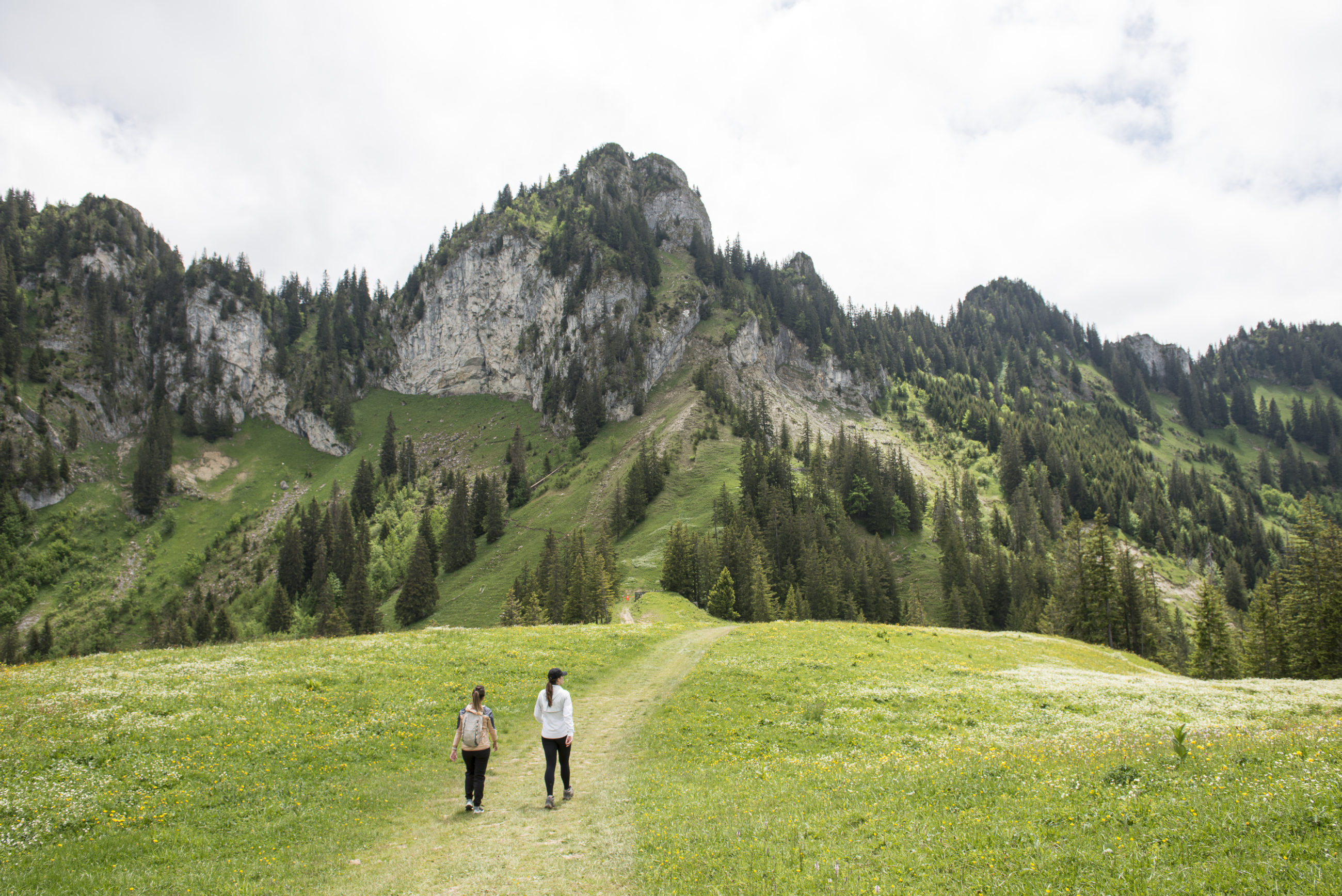 Startseite - Charmey.ch