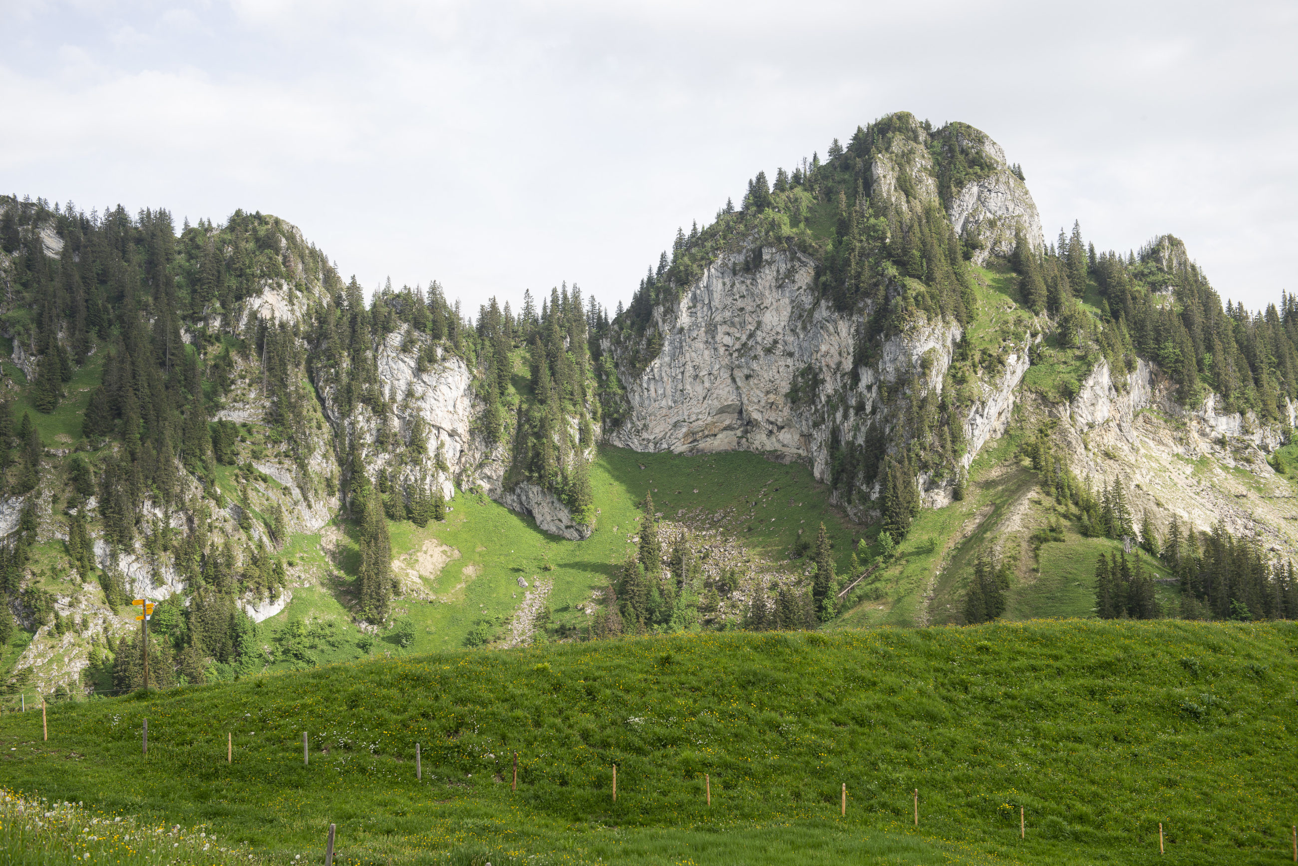 Accueil - Charmey.ch