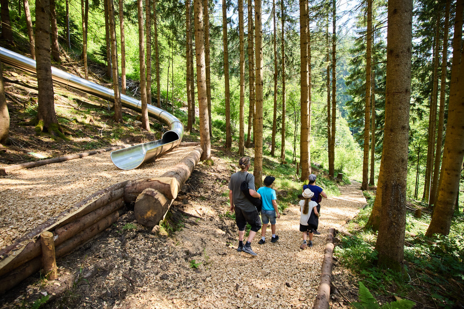 Sentier des toboggans - Charmey.ch