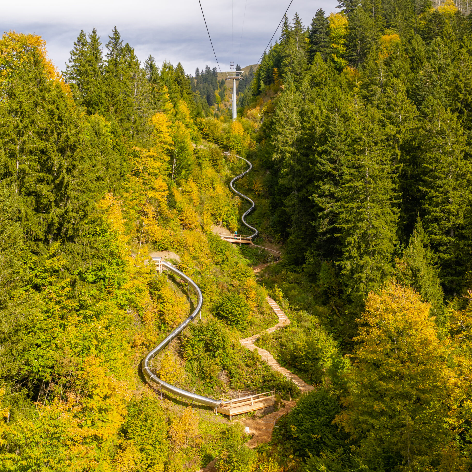 Sentier des toboggans - Charmey.ch